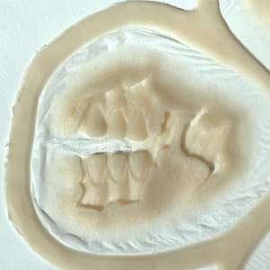 Zombie Jaw/mouth and Cheekbones/eye Sockets Prosthetics, SFX Makeup ...