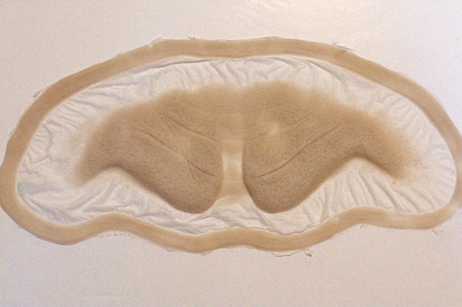 Buffy Vampire Demon Angry Brow Forehead Prosthetic, SFX Makeup ...