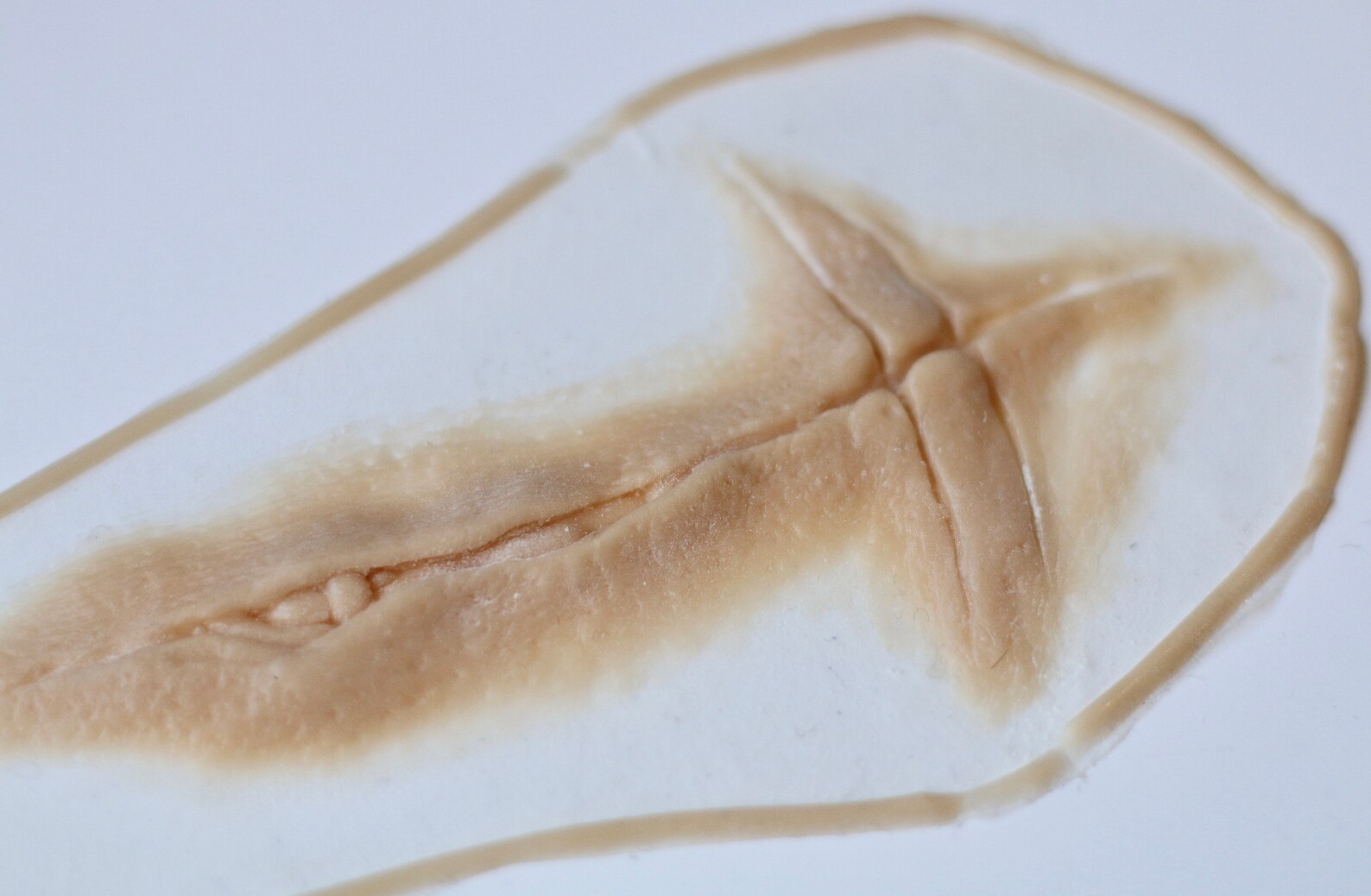 Cut Wound Prosthetic, SFX Makeup, Silicone Appliance, Halloween ...