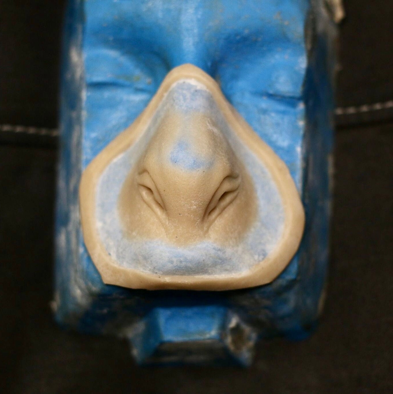 Alien Scifi Nose Prosthetic Encapsulated Silicone Prosthetic - Etsy