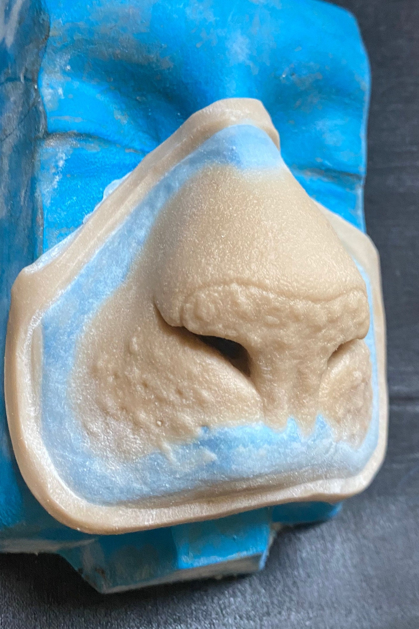Cat Lion Nose Prosthetic Silicone Encapsulated Prosthetic - Etsy