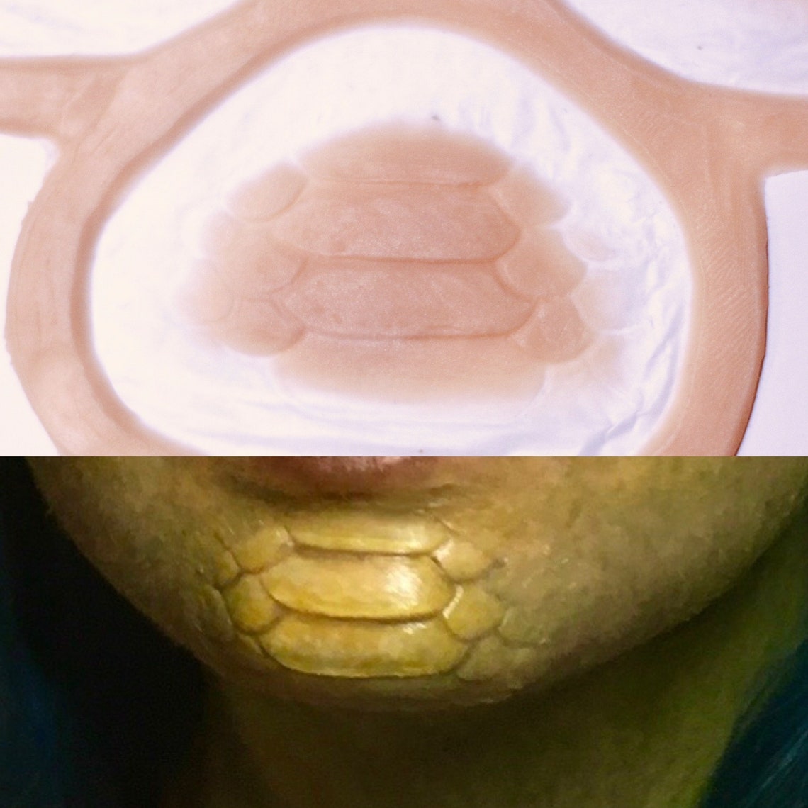 Snake Scales/reptile Chin Prosthetic, SFX Makeup, Silicone Appliance ...
