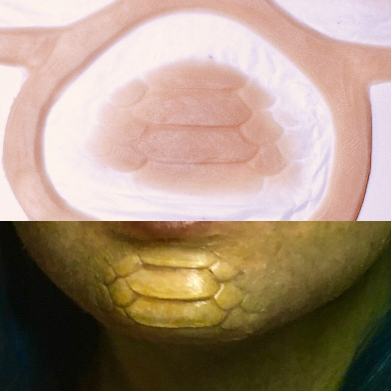 Snake Scales/reptile Chin Prosthetic, SFX Makeup, Silicone Appliance ...