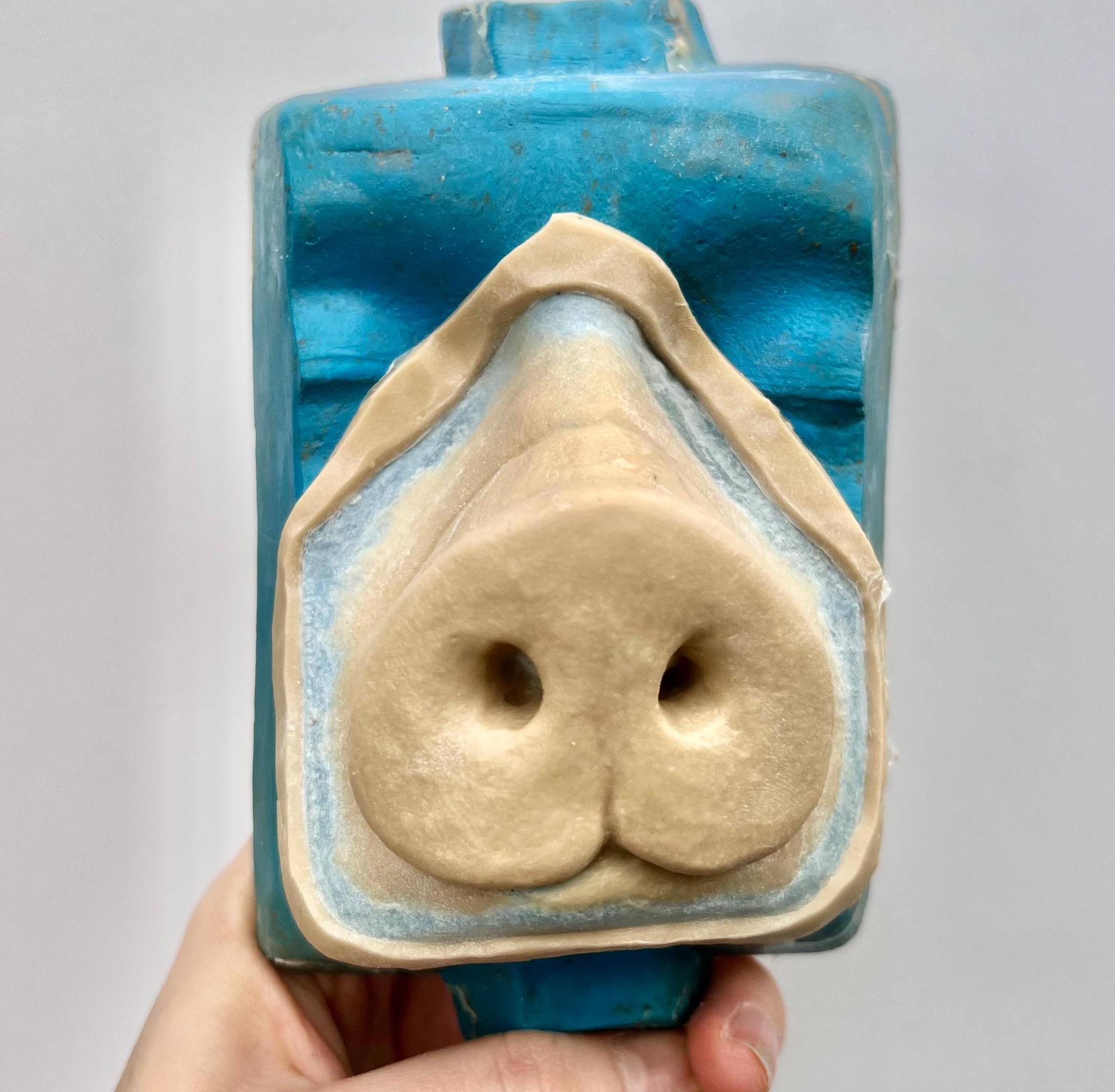 Pig Nose Prosthetic, Encapsulated Silicone Appliance - Etsy