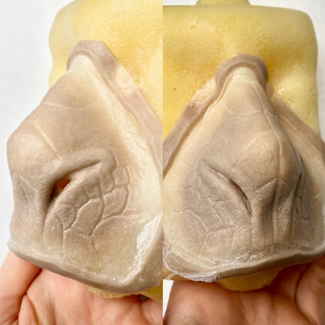 Snake Nose Prosthetic, SFX Makeup, Silicone Appliance, Halloween ...