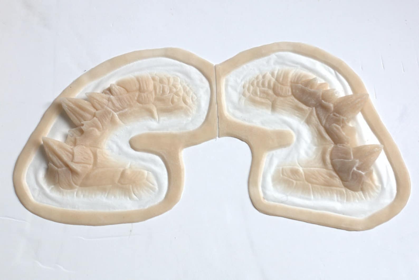 Dragon/scales/lizard Prosthetic 2 sides mask SFX Makeup | Etsy