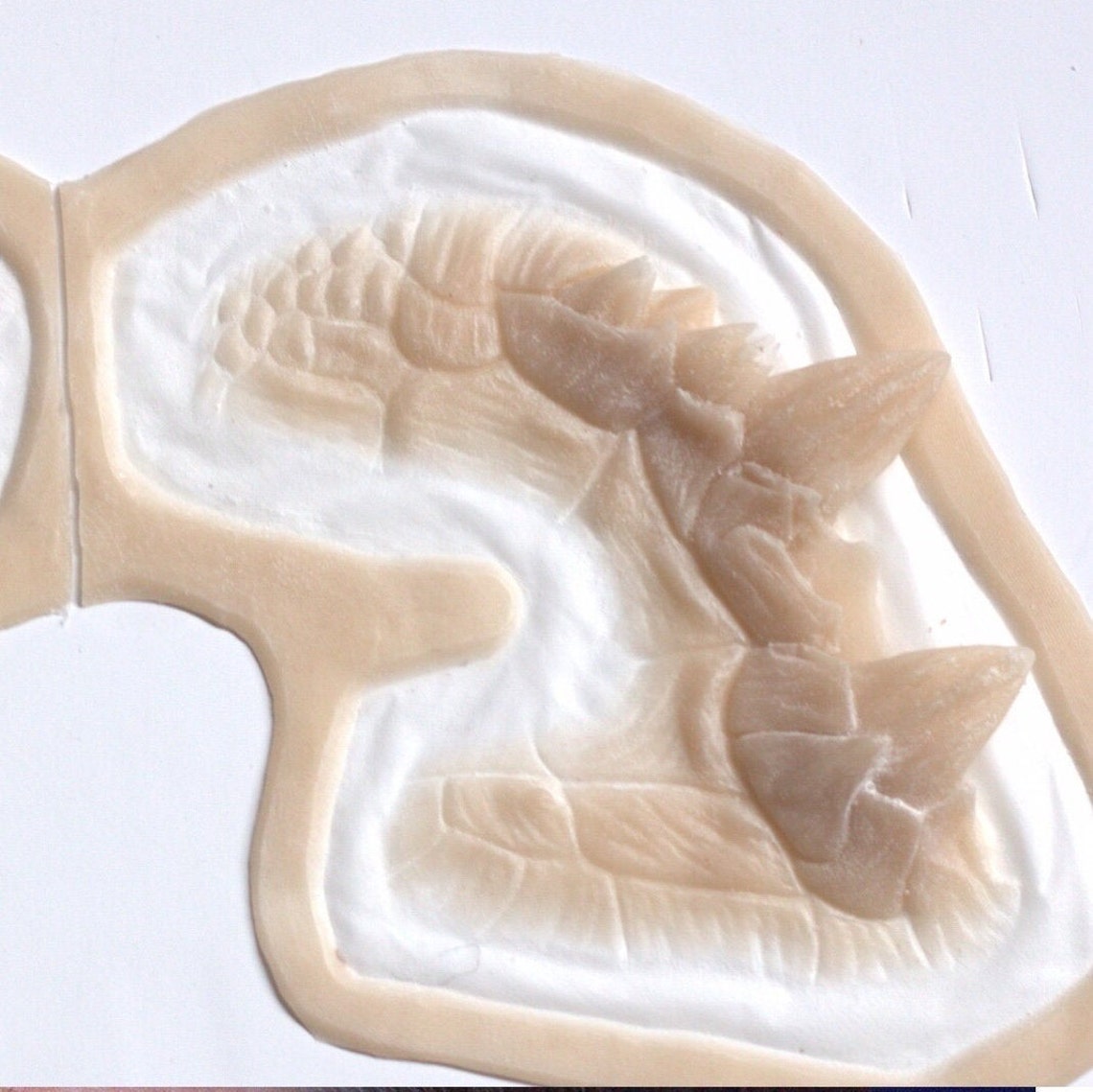 Dragon/scales/lizard Half Face Prosthetic SFX Makeup - Etsy