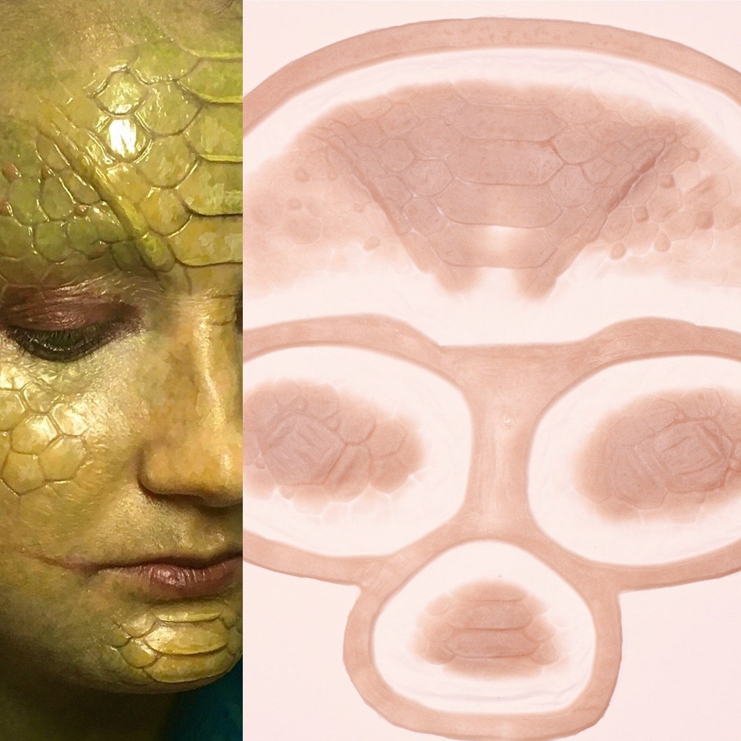Snake Scales/reptile Forehead, Cheeks and Chin Prosthetic, SFX Makeup ...