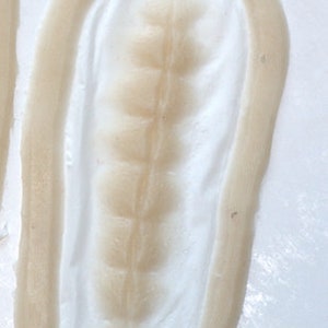 Stitched Wound Prosthetic, Stitches, Gore, SFX Makeup, Silicone ...