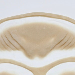 Alien Forehead Silicone Prosthetic - Etsy