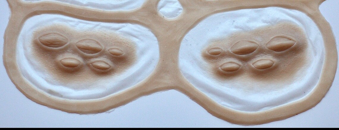 Alien cheeks cheekbone Prosthetic SFX Makeup silicone | Etsy