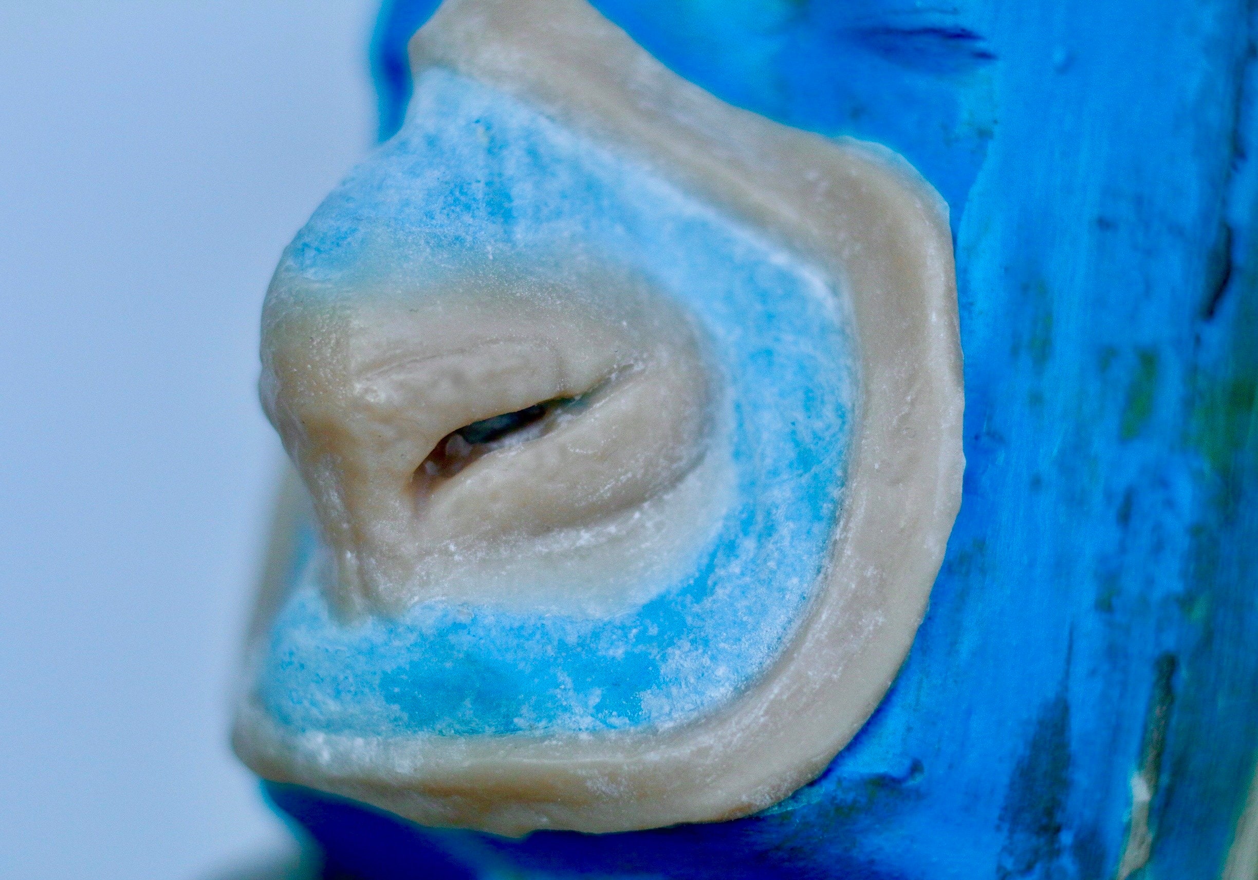 Cat Lion Nose Prosthetic, SFX Makeup, Silicone Appliance, Halloween ...