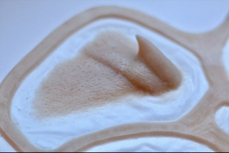 Alien Cheekbones Forehead and Chin Prosthetic SFX Makeup | Etsy