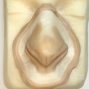 Vampire/orc/alien Creature Silicone Prosthetic Nose SFX - Etsy