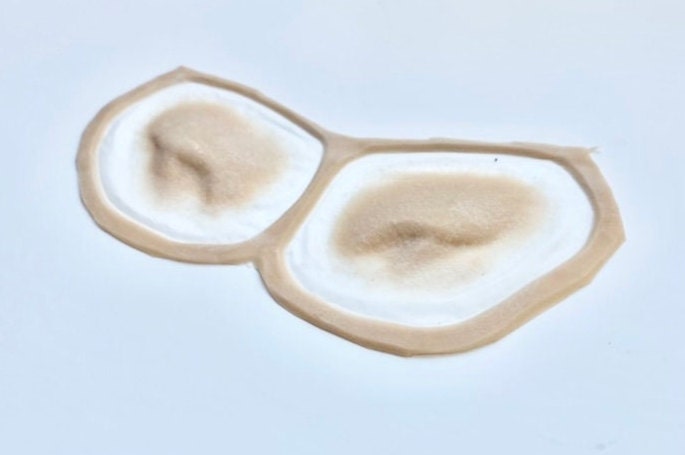 Alien Prosthetic Cheekbones Silicone Encapsulated Prosthetics | Etsy