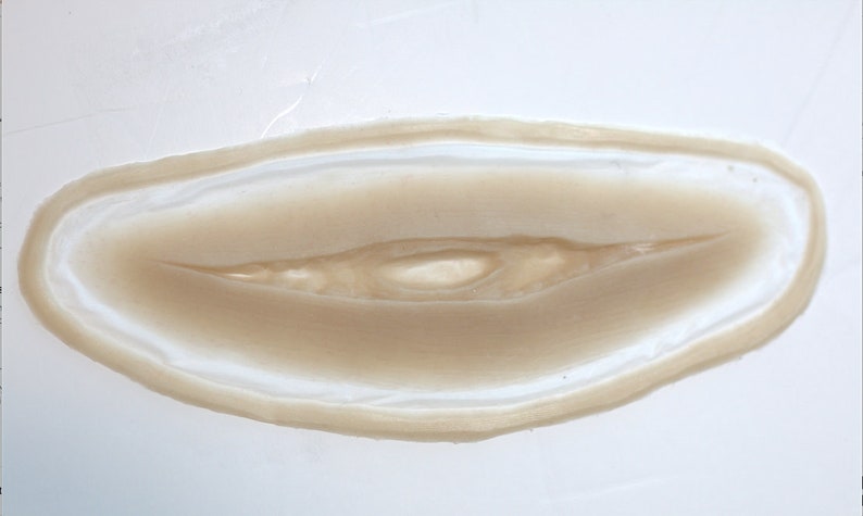 Slit Throat Cut/wound Prosthetic SFX Makeup Silicone - Etsy UK