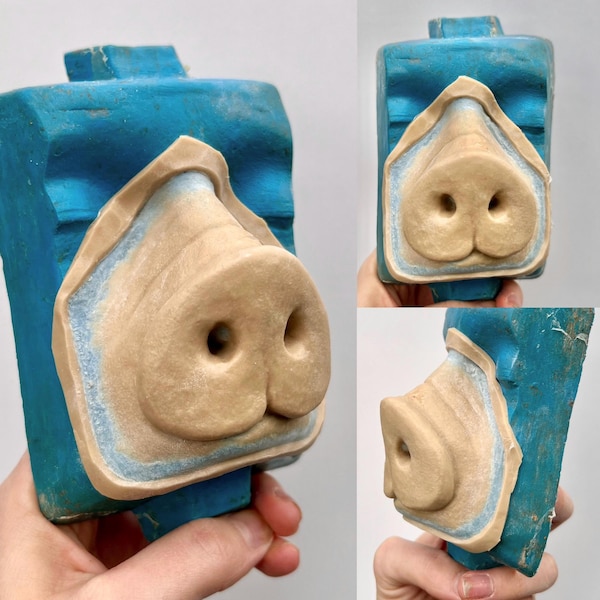 Prosthetic Pig Nose - Etsy