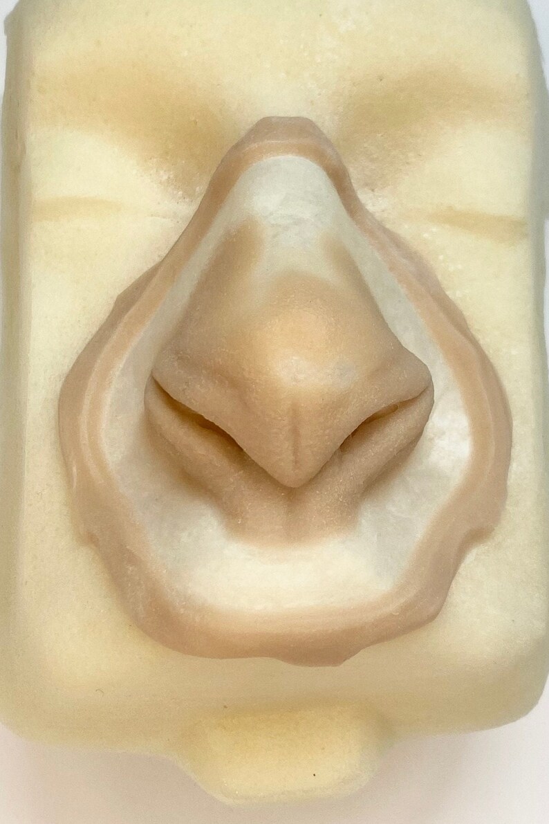Vampire/orc/alien Creature Silicone Prosthetic Nose SFX | Etsy