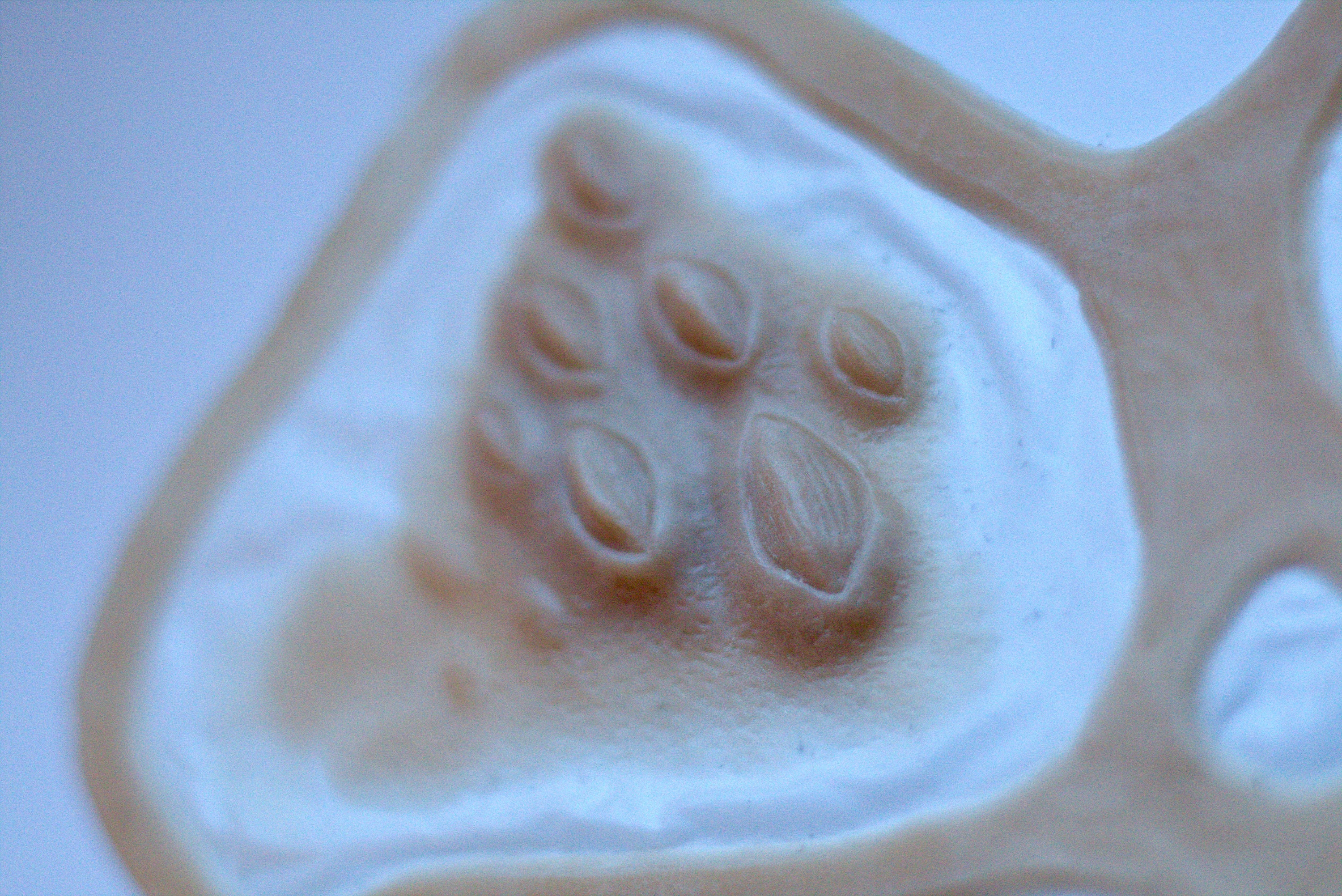 Alien Brow Forehead Prosthetic SFX Makeup Silicone - Etsy UK