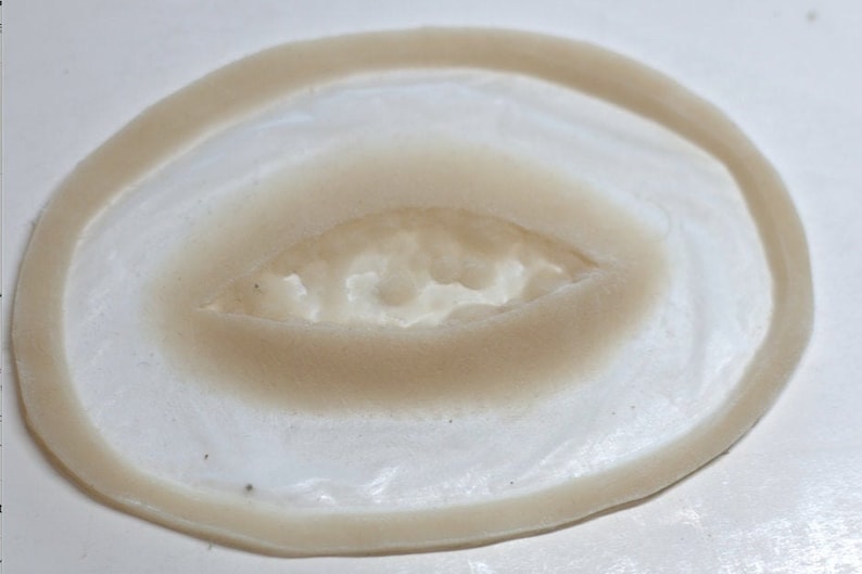 Cut Open Wound Prosthetic Gore SFX Makeup Silicone - Etsy