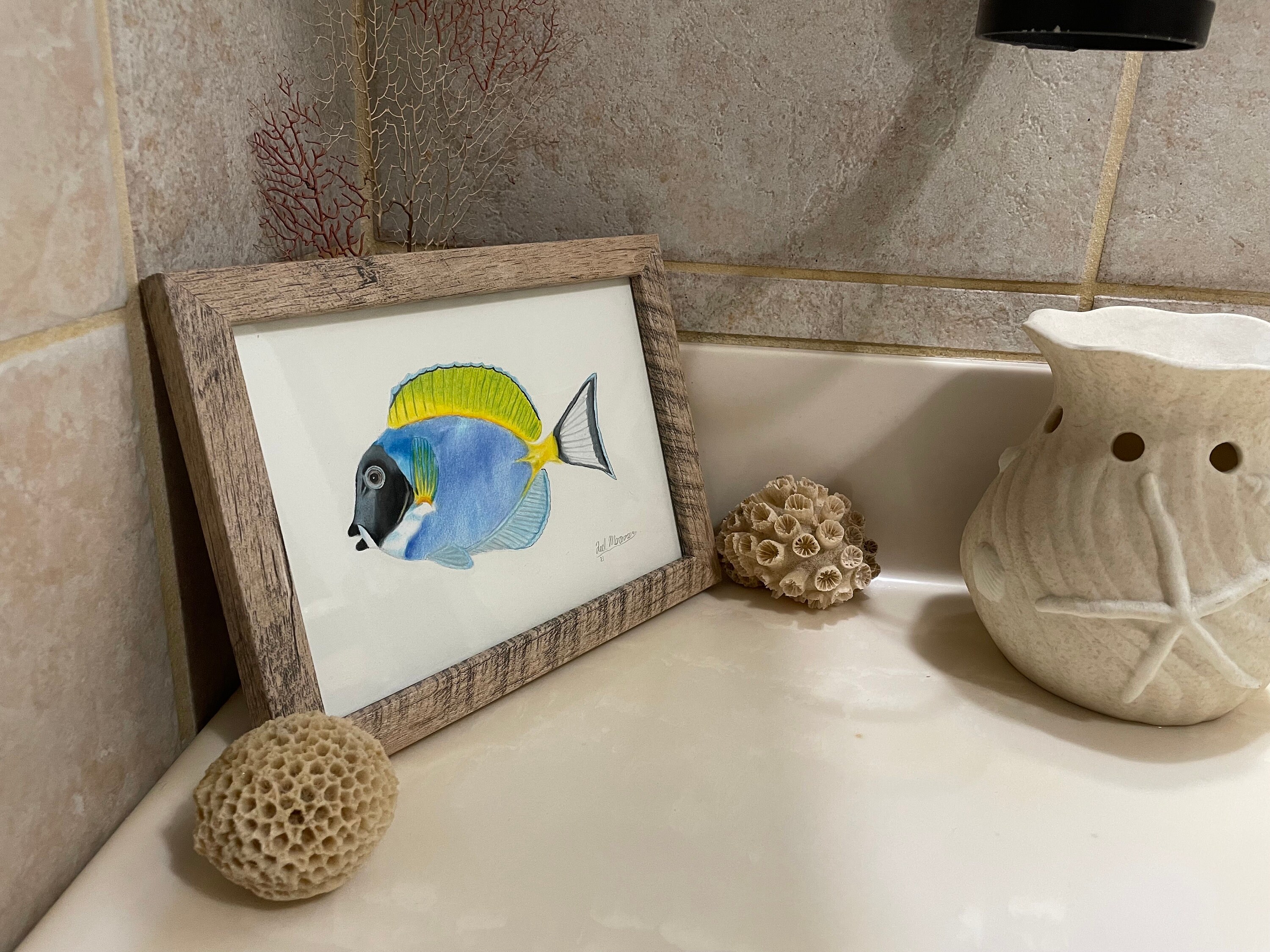 Original 5x7in Powder Blue Tang Drawing - Etsy