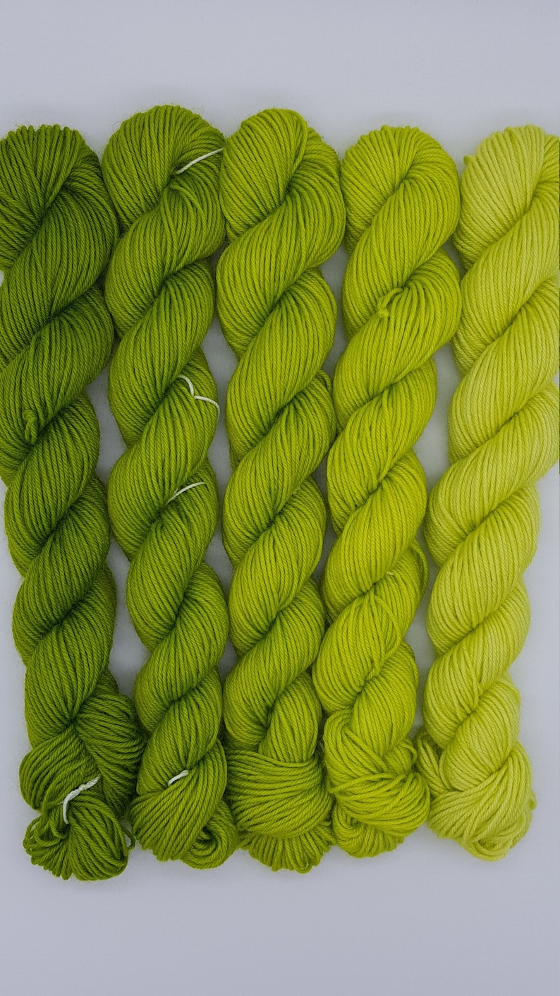 Green Gradient Set Five 5 20g Mini-skeins Hand Dyed Yarn - Etsy