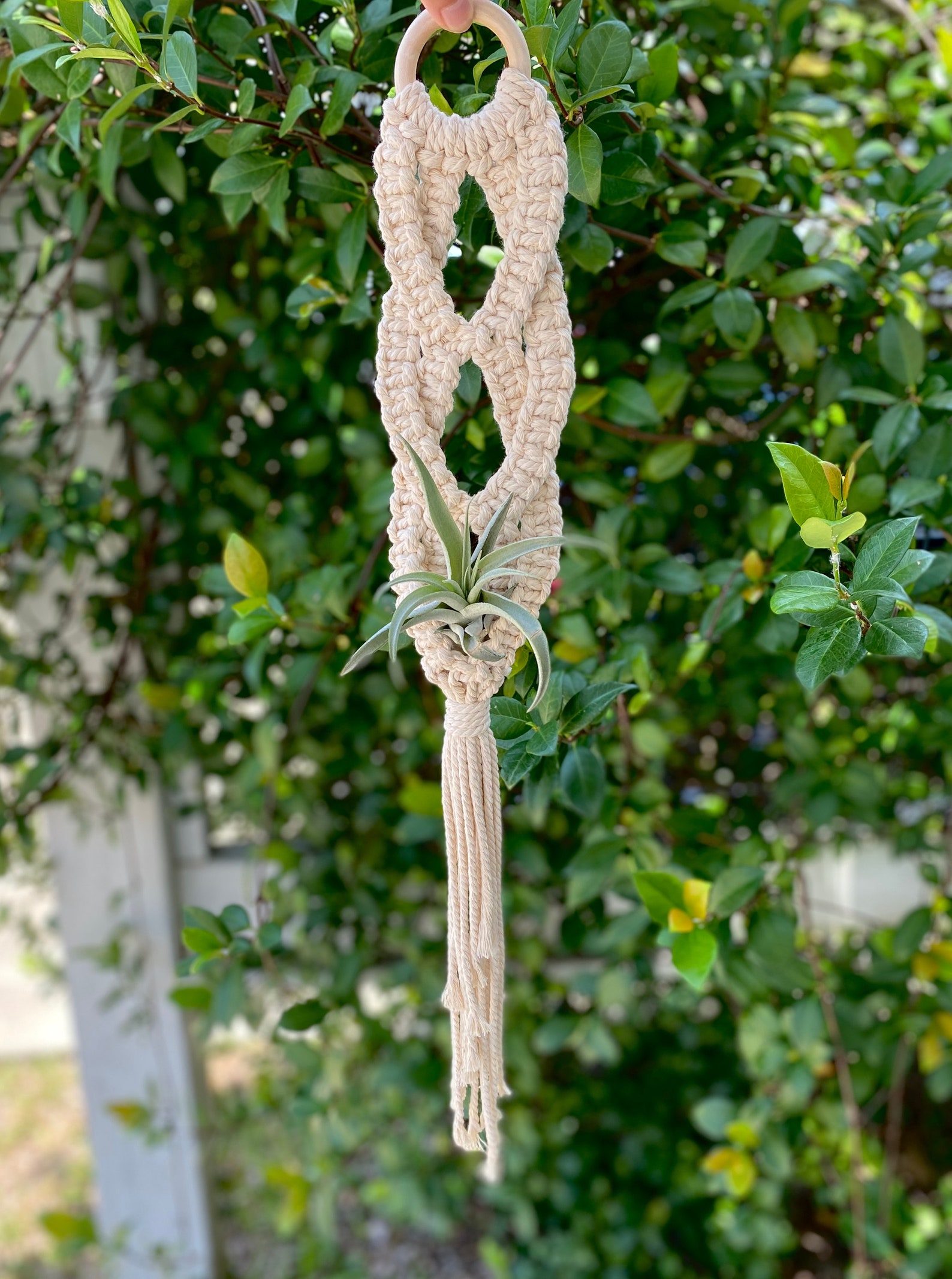Macrame Air Plant Hanger Natural Indoor Hanging Planter | Etsy