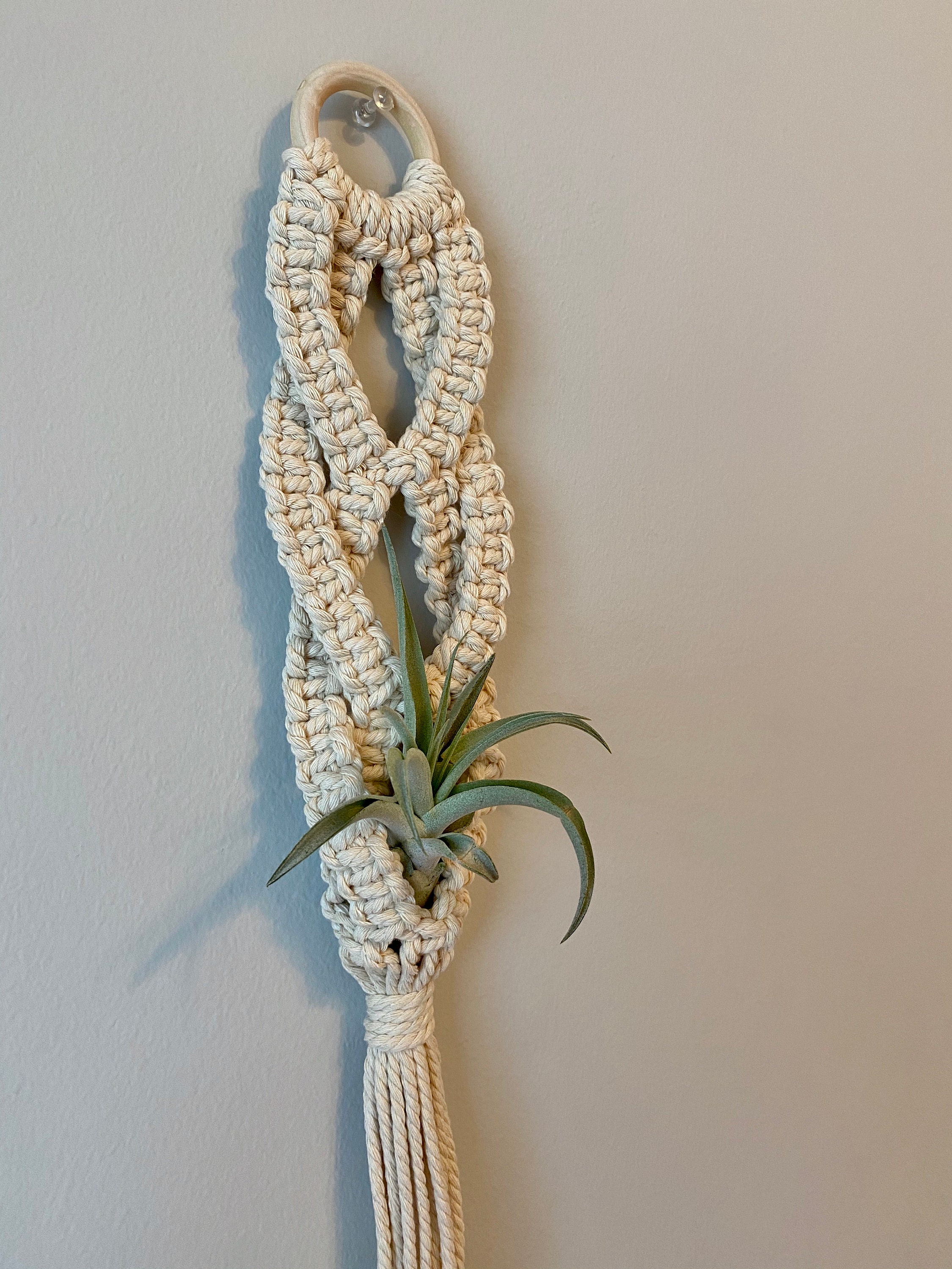 Macrame Air Plant Hanger Natural Indoor Hanging Planter | Etsy