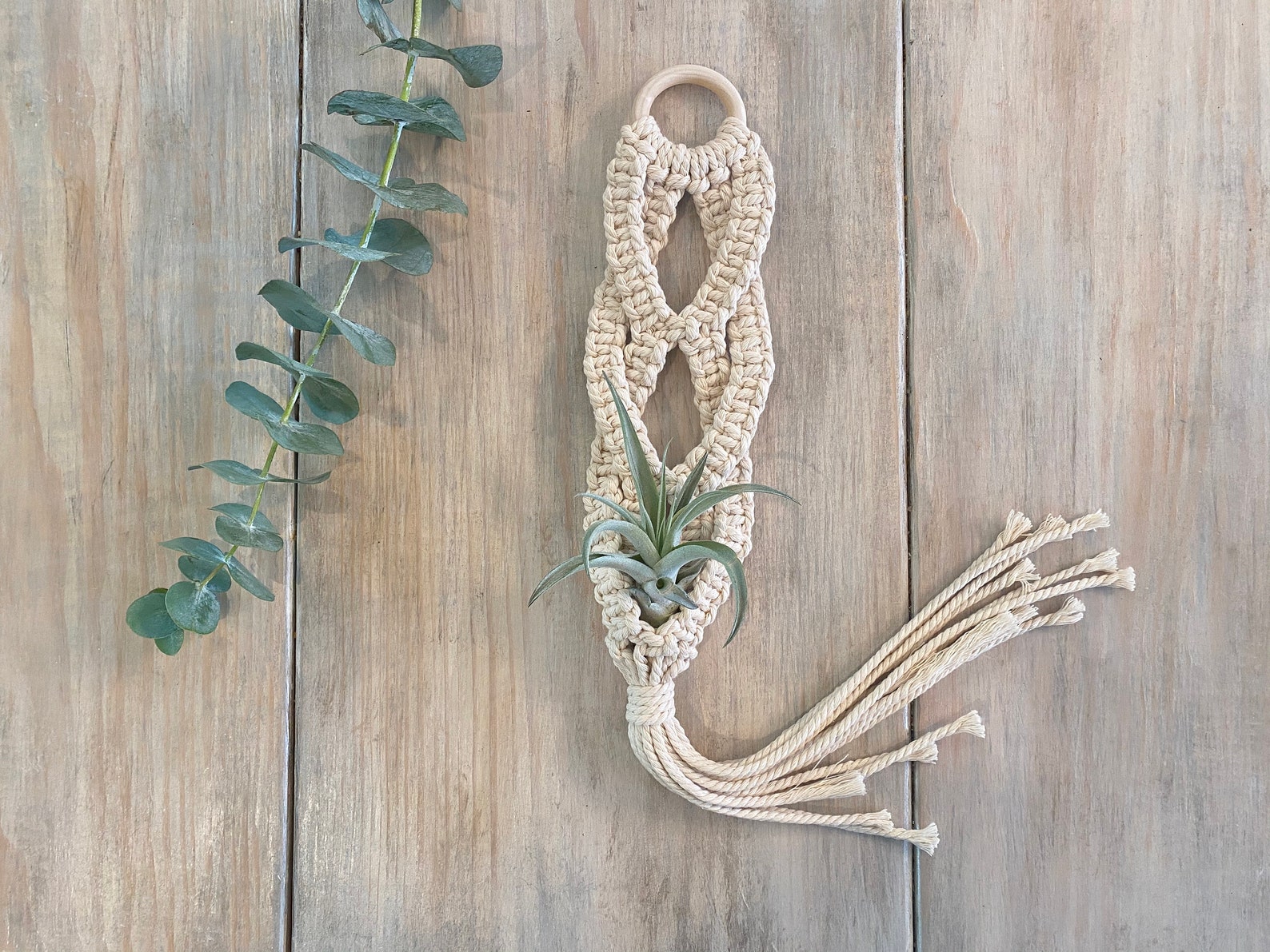Macrame Air Plant Hanger Natural Indoor Hanging Planter - Etsy