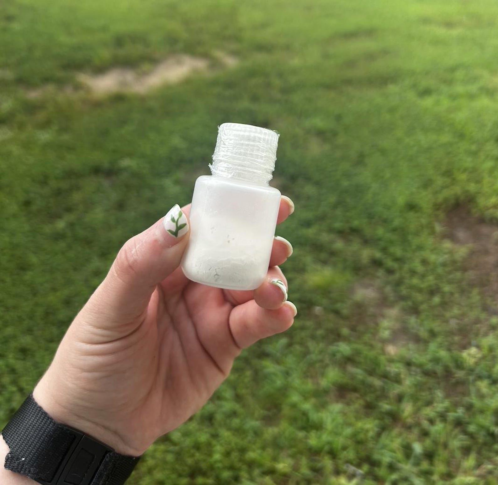 Rooting Hormone Powder, Plant Propagation Accelerator, .5 Oz - Etsy