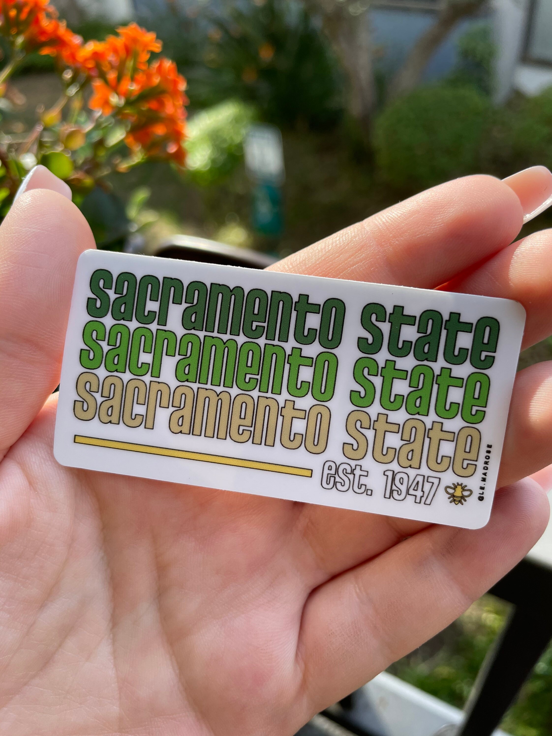 Sacramento State University Sticker | Etsy