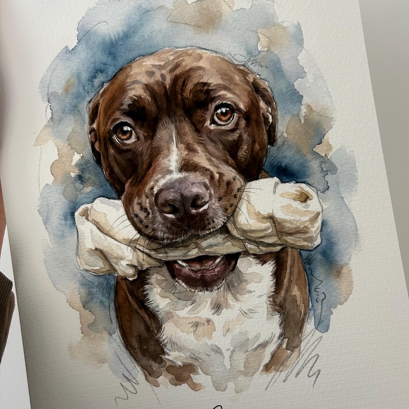 Canadian Pet Custom - Etsy