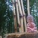 Action Mobile, Kinetic Art Sculpture of Natural Bamboo, Made in USA for ...