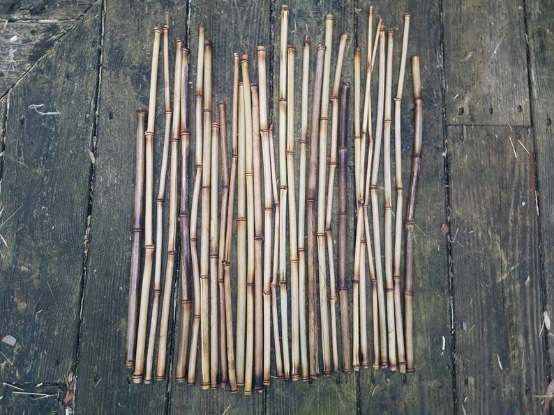 12 Heat Treated Bamboo Sticks for Diy Crafts Home Improvement - Etsy
