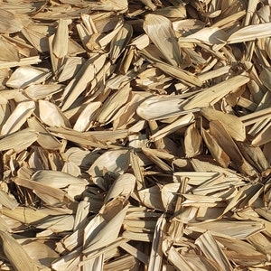 Bamboo Sheaths Natural Organic Substrate for Vivarium, Terrarium ...