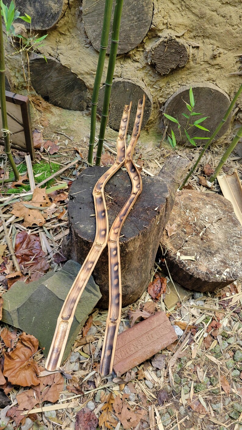 Curvy Split Bamboo, Rare Natural Climbing Decor Stick for Reptiles ...