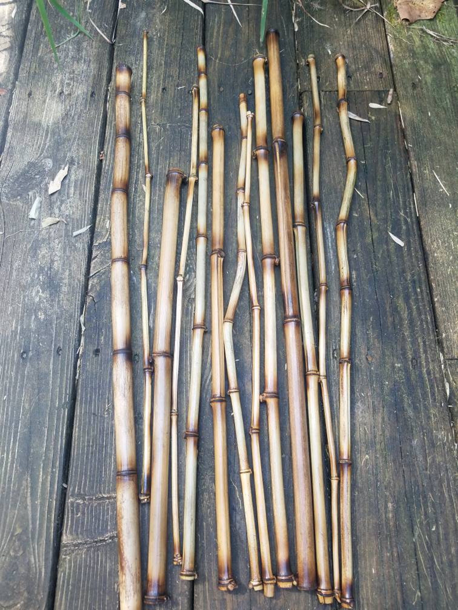 12 Heat Treated Bamboo Sticks for Diy Crafts Home Improvement - Etsy