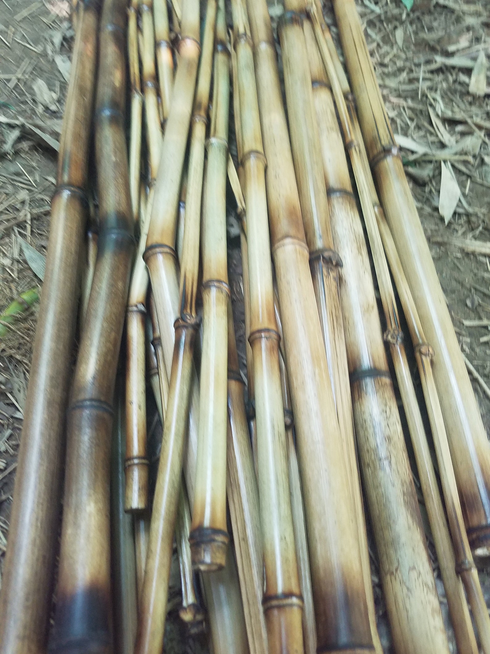 12 Heat Treated Bamboo Sticks for Diy Crafts Home Improvement - Etsy