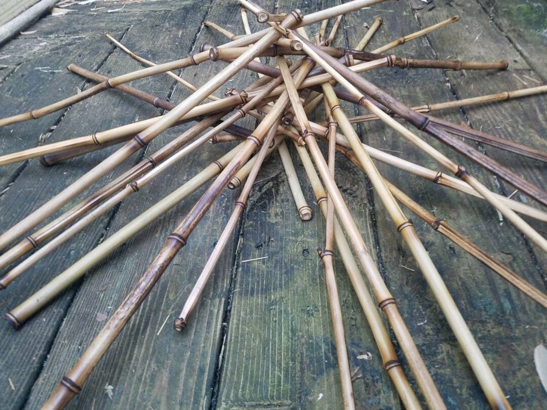 12 Heat Treated Bamboo Sticks for Diy Crafts, Home Improvement or ...