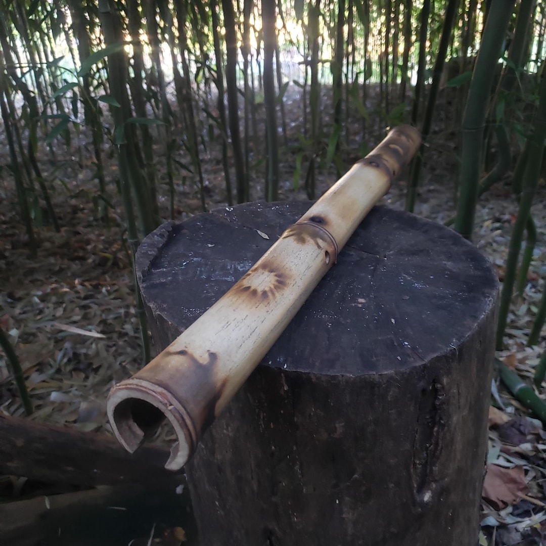 Bamboo Vivarium Décor, Hide Hole Cave for Snakes, Lizards, Geckos ...