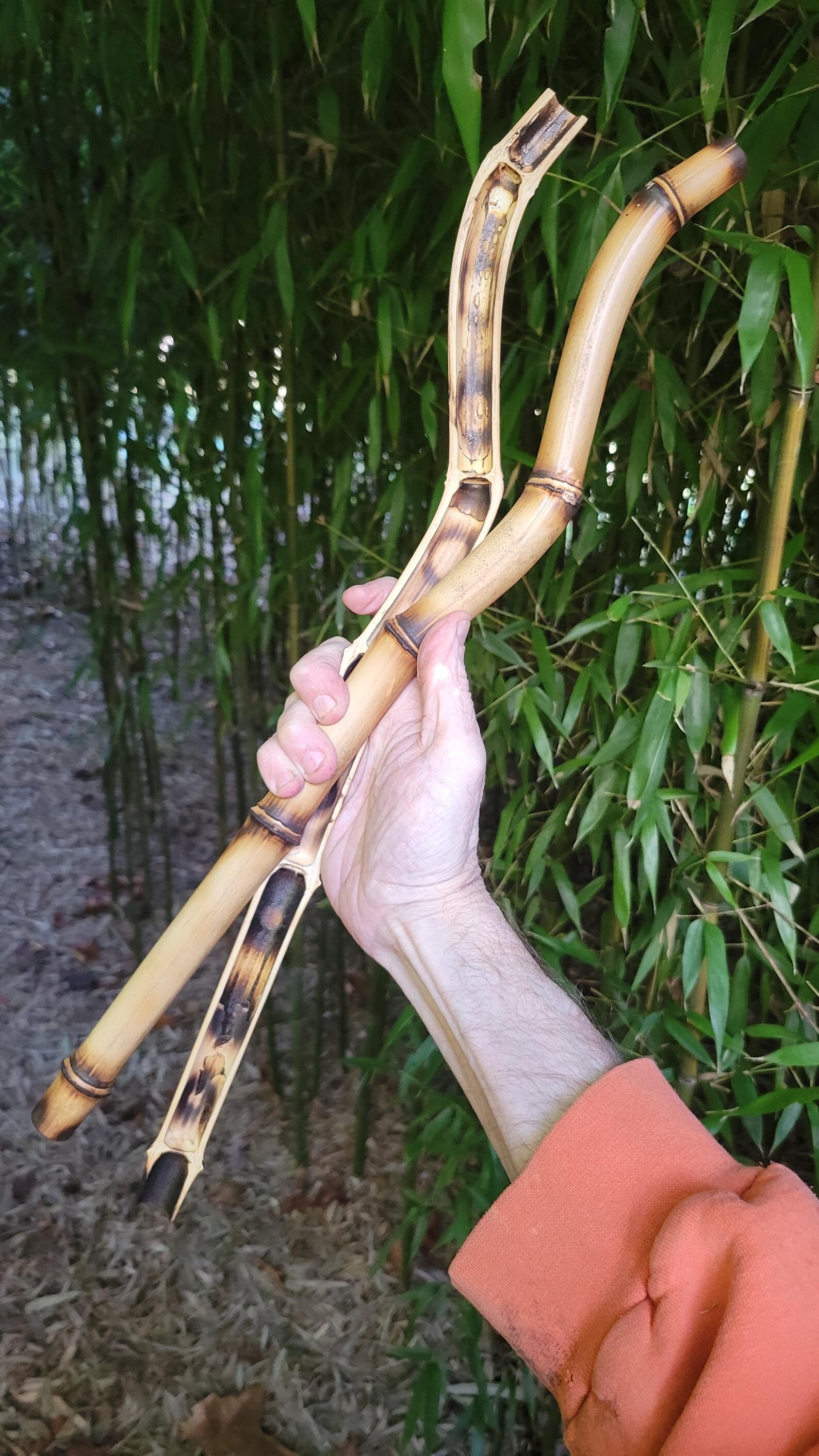 20 Inch Curvy Split Bamboo Natural Climbing Decor Sticks for Reptiles ...