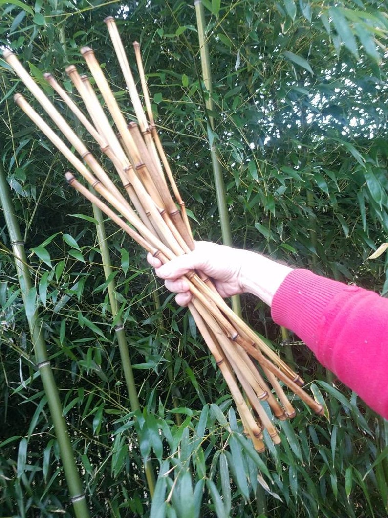 12 Heat Treated Bamboo Sticks for Diy Crafts Home Improvement - Etsy