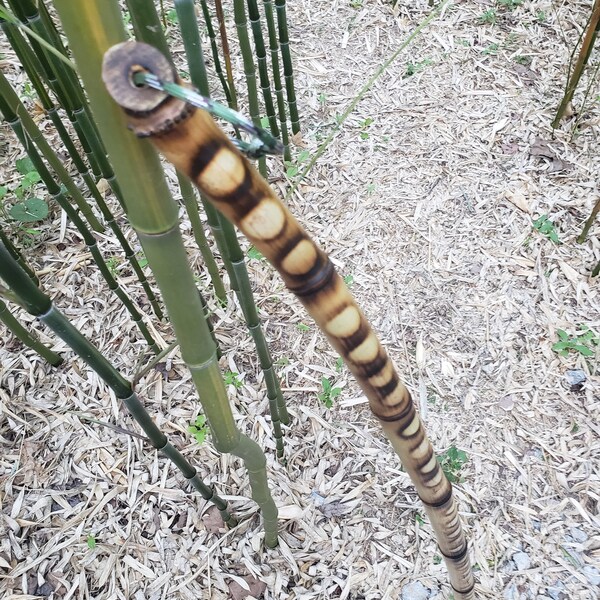 Hiking Staff - Etsy