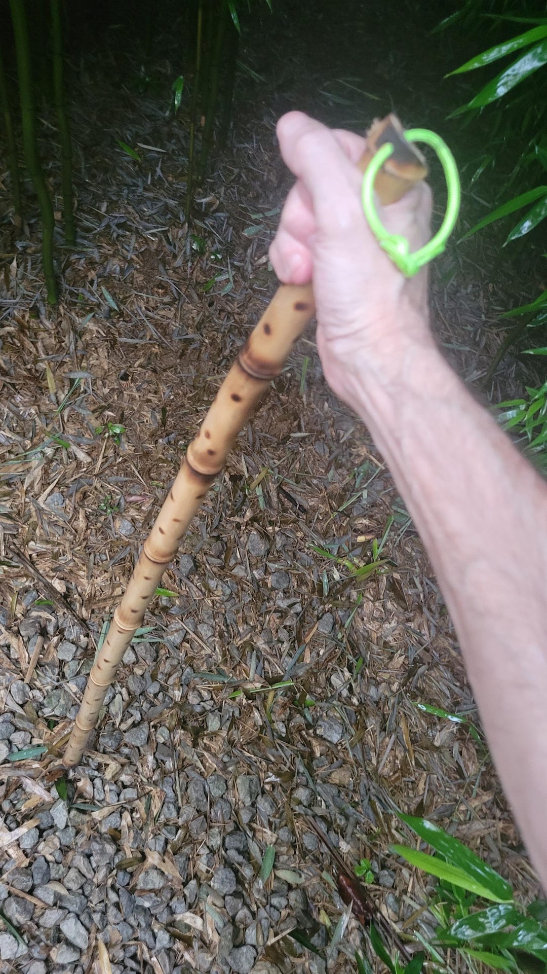 50 Inch Bamboo Hiking Stick, Walking Staff, Trekking Pole, Natural ...