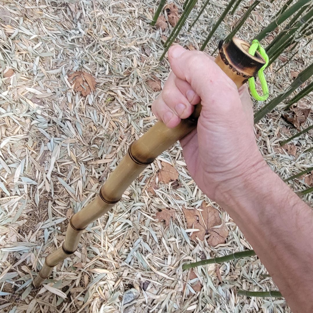 Bamboo Hiking Stick, Small Sized Walking Staff, 42 Youth Trekking Pole ...