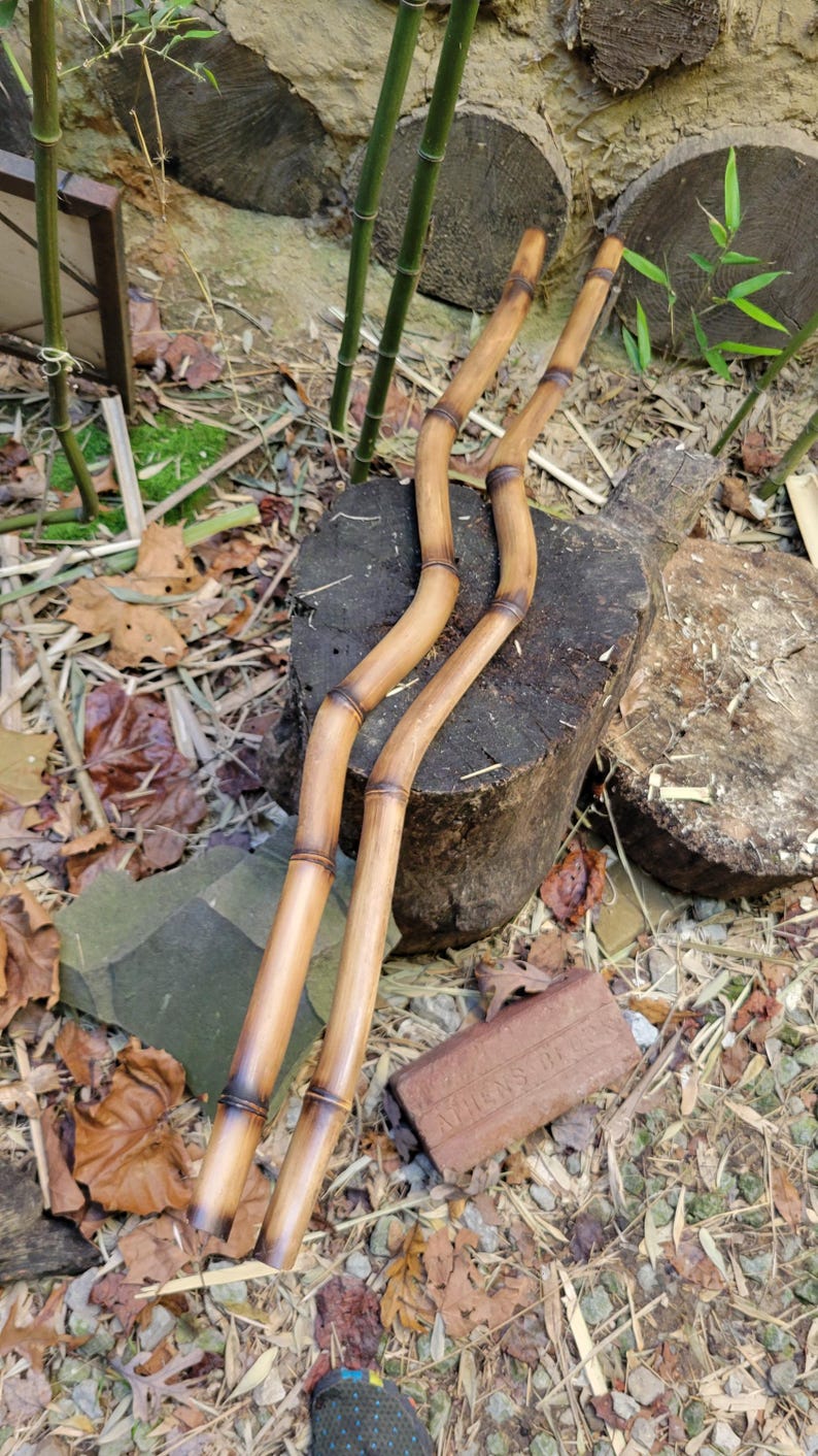 Curvy Split Bamboo, Rare Natural Climbing Decor Stick for Reptiles ...