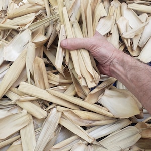 Bamboo Sheaths Natural Organic Substrate for Vivarium, Terrarium ...