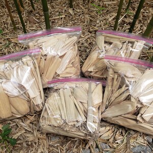 Bamboo Sheaths Natural Organic Substrate for Vivarium, Terrarium ...