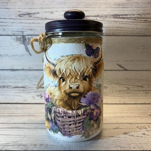 HIGHLAND COW, Cow Lover, Cows, Mason Jars, Glass Containers, Farmhouse ...