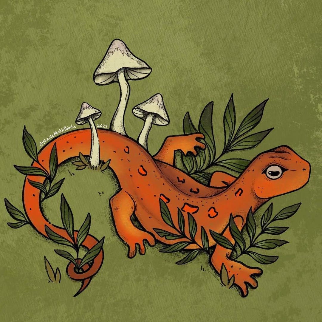 Newt Print (8x8) - Etsy